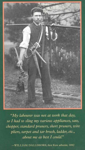 Dallimore.jpg | The Tree House