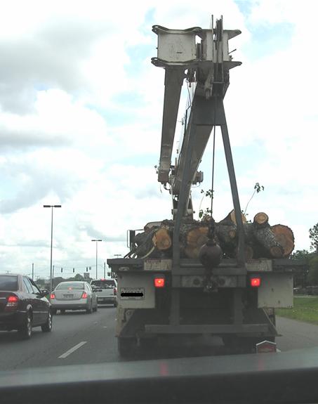 move_it_buddy.JPG | The Tree House